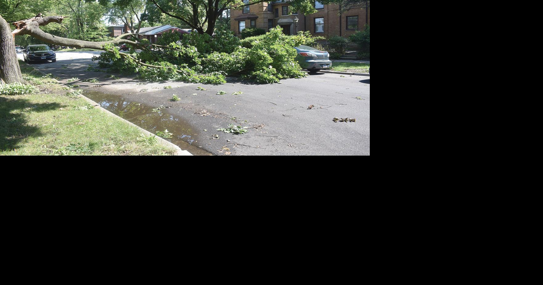 Strong storm can’t stop good luck | Community News | beverlyreview.net