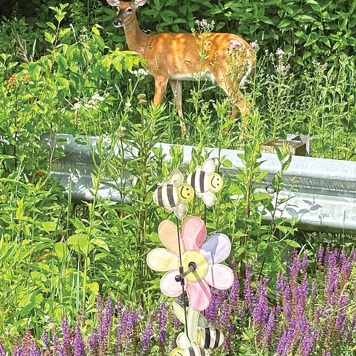 Man arrested for fatal crash | Community News | beverlyreview.net