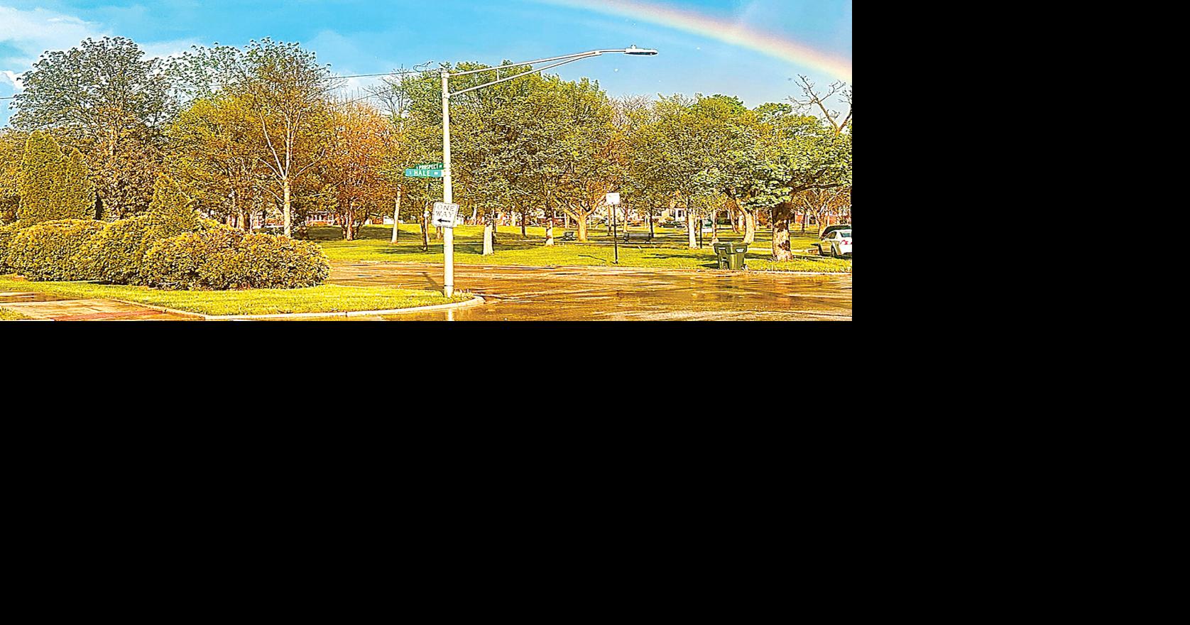 Rainbow a beautiful prospect for local park | Community News ...