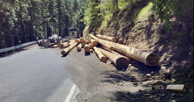 logging accidents