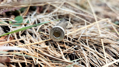 Two Men Have Hunting Licenses Revoked for Three Years After Poaching ...