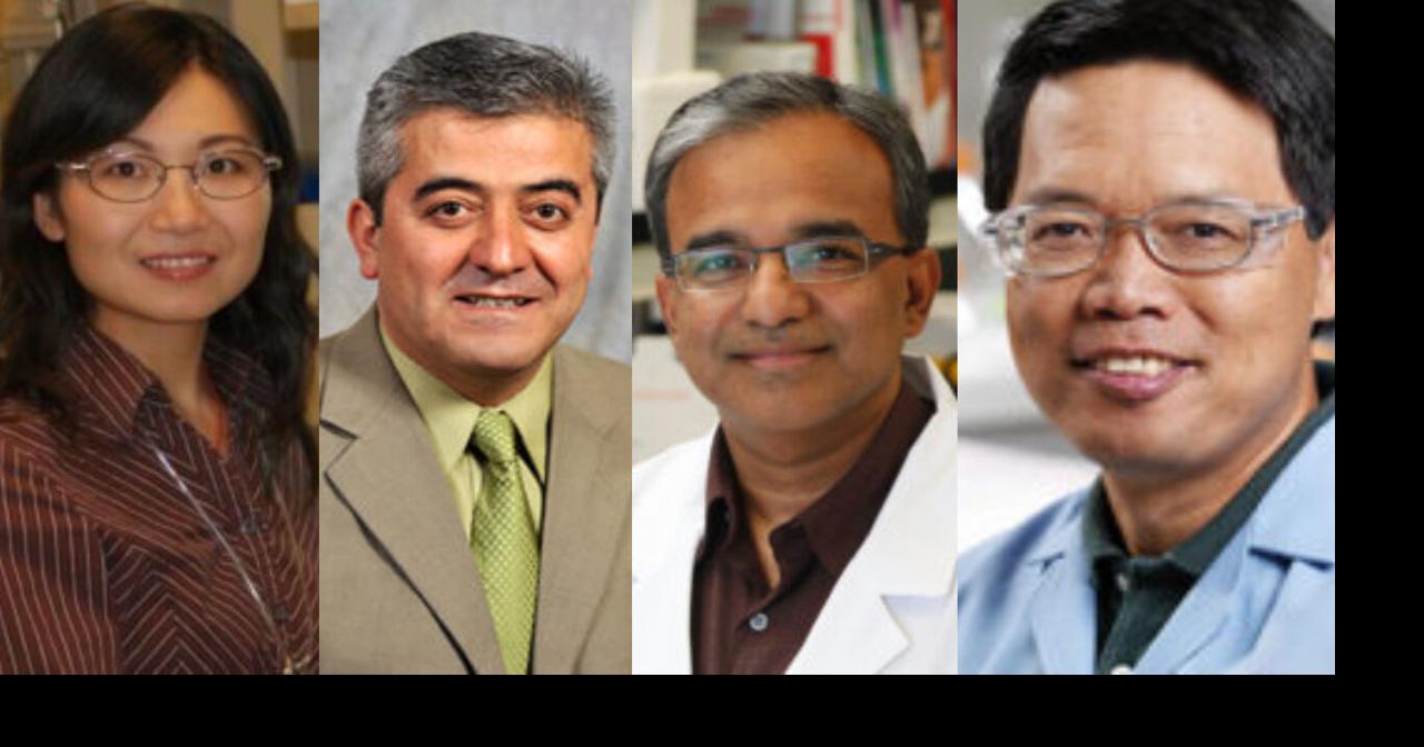 Four WSU Faculty Recognized on the 2021 Highly Cited Researchers List ...