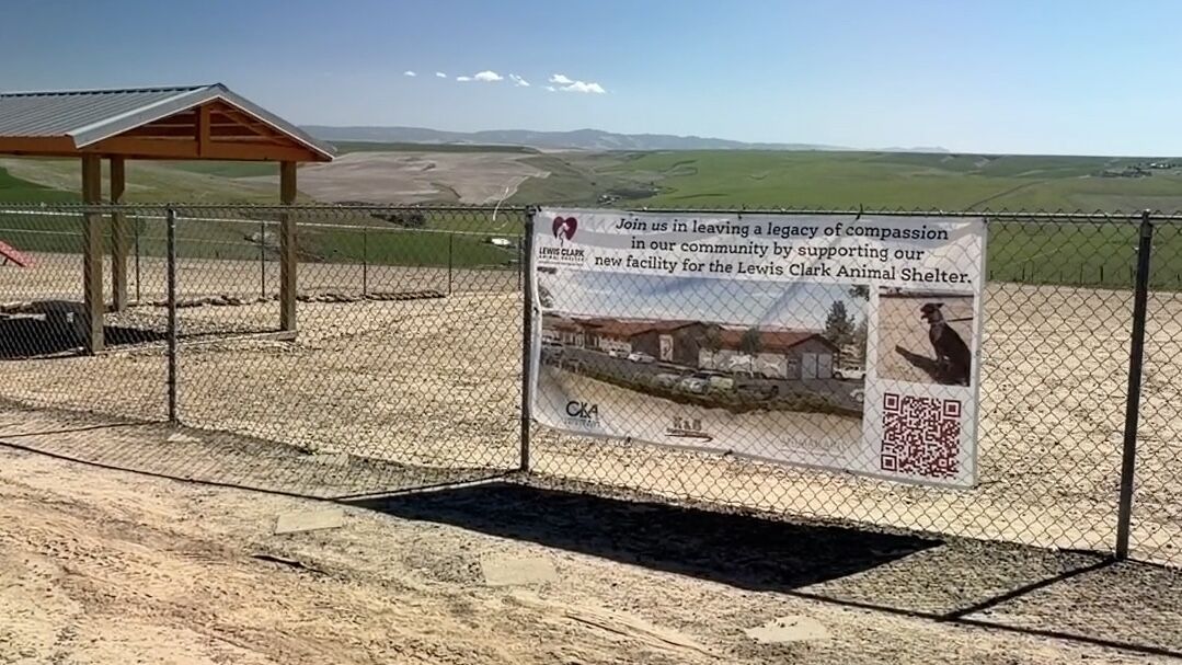 Building for a Brighter Future: How Lewis Clark Animal Shelter is ...