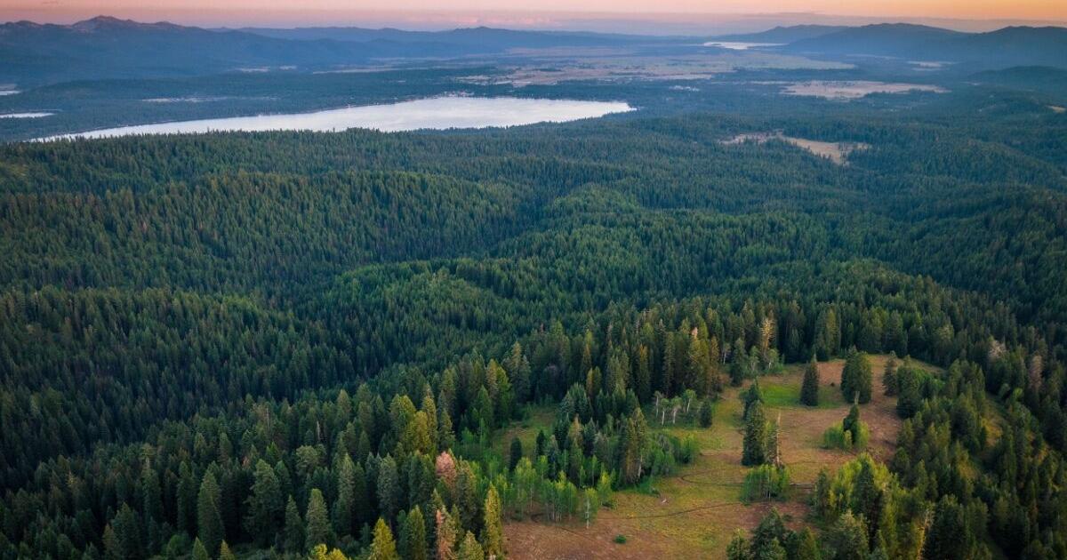 Brundage Expands Mountain Bike Shuttle Service to Include Two Premier ...