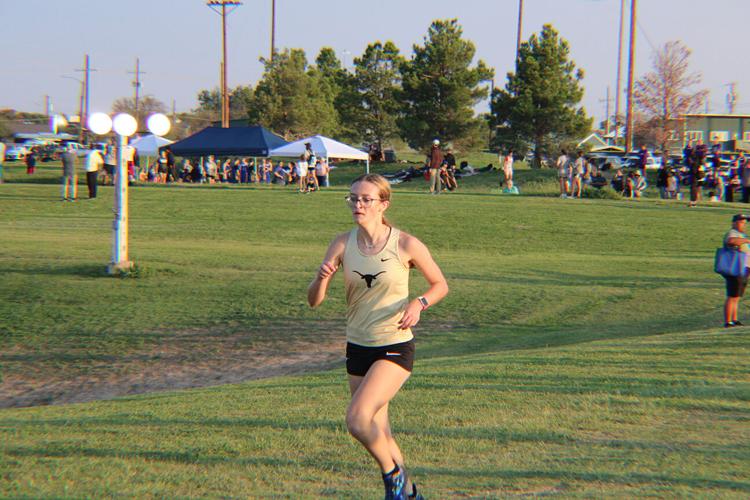 Big Spring Steers & Lady Steers XC set new PR’s at LCU U-Chap ...