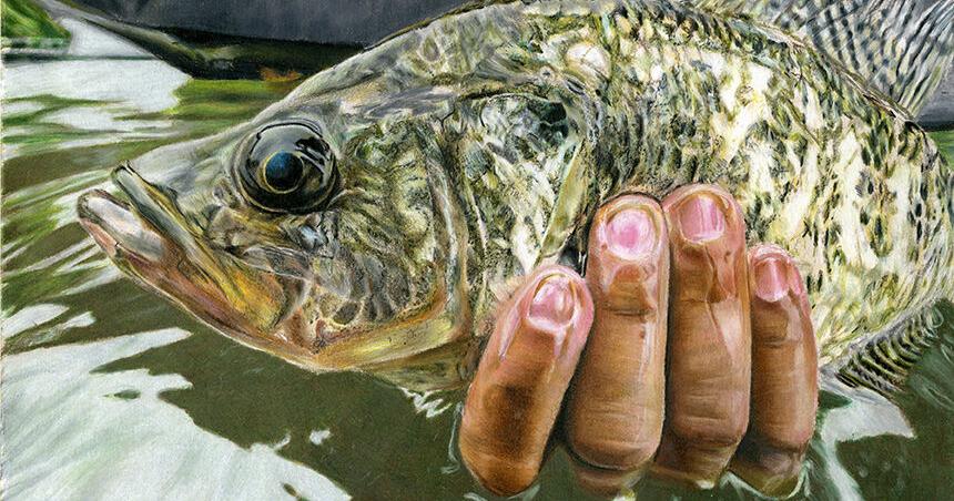 2025 Texas Fish Art contest opens for entries | News | bigspringherald.com