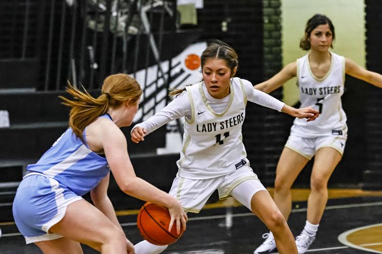 Greenwood toughs out a 40-28 win over Lady Steers | Sports ...