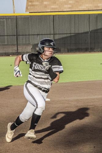 BI-DISTRICT CHAMPIONS – FORSAN LADY BUFFALOES | Sports ...