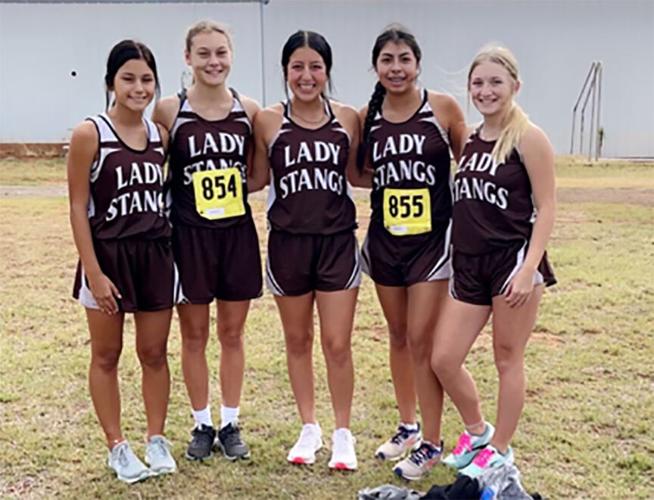 Sands cross country team’s fare well at the Andrews Derek Hernandez ...
