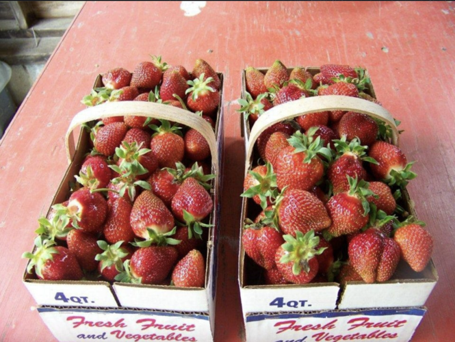 Insider's guide on where to pick your own strawberries in WNC | Food ...