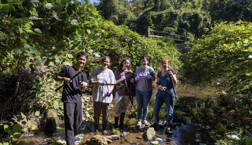 2023 Fall Greenfest: A Week-Long Celebration of Community-Centric ...