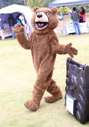 Bears Bees + Brews Festival to celebrate area wildlife | News ...