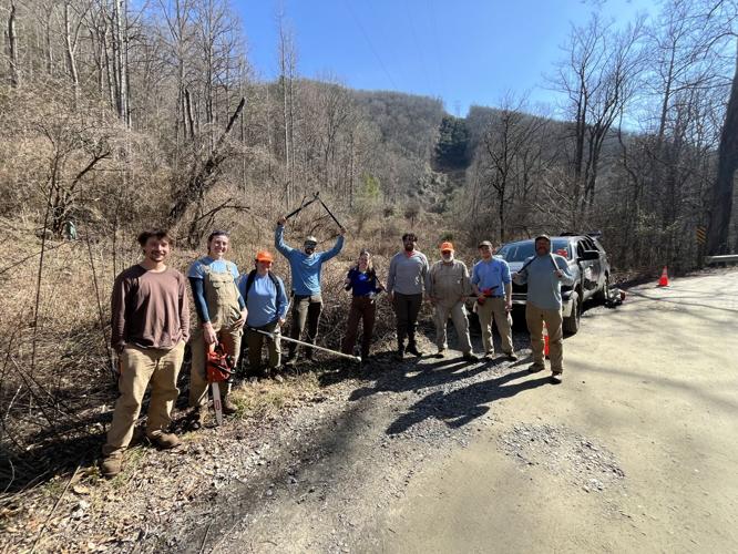 Tackling kudzu and other invasive plants in Pisgah National Forest ...