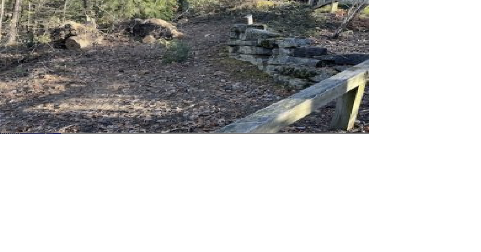 Light matters: Mapping sun and shade in your yard | Outdoor ...