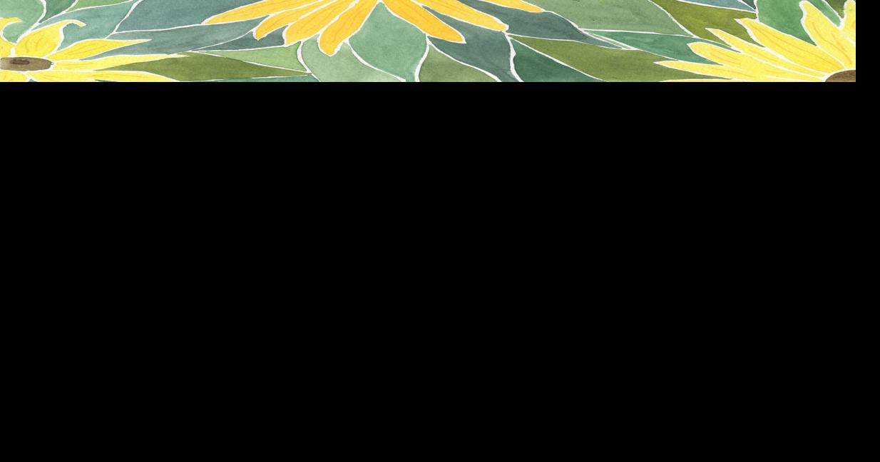 Artist Draws Inspiration From Sublime Scenery | Arts | biltmorebeacon.com