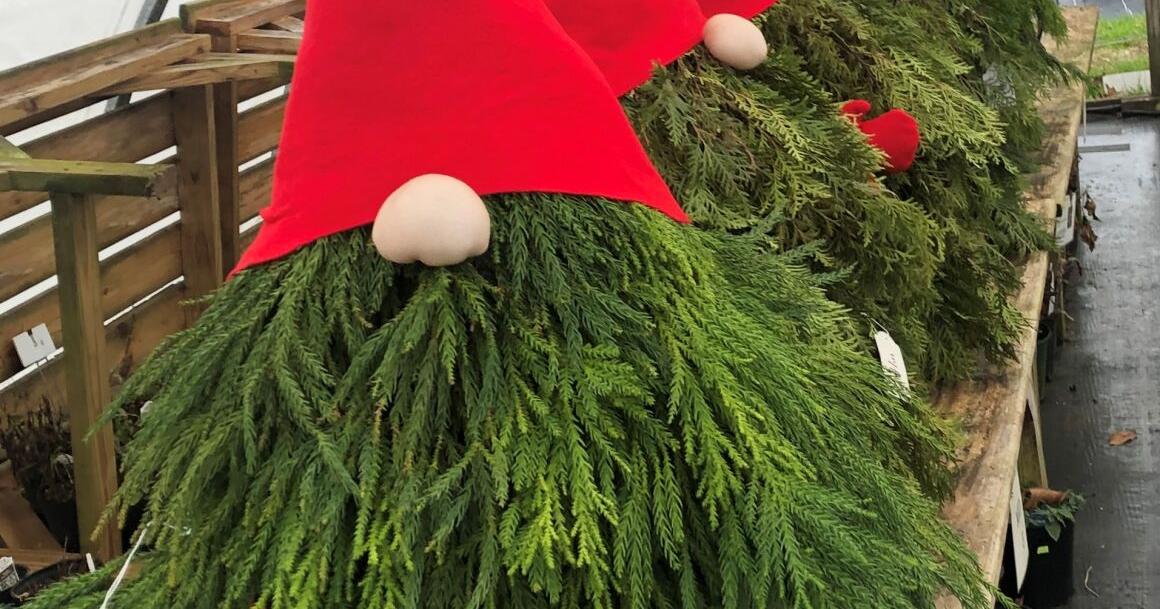 Bullington Gardens to host annual holiday greenery and craft sale ...