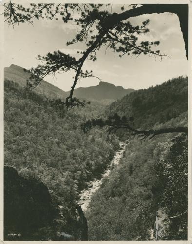 Behind the lens: New George Masa biography reveals startling ...