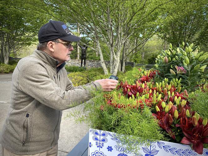 Come Face to Face With Flowers at Arboretum’s ‘Bloom with a View ...