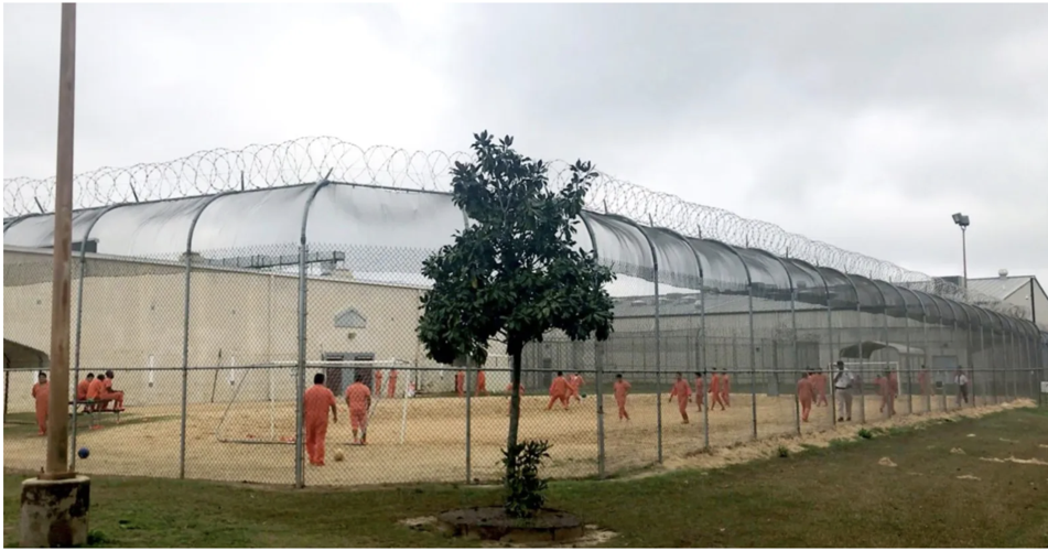 Wanda Greene, Former Buncombe County Manager, Talks About Her Prison ...