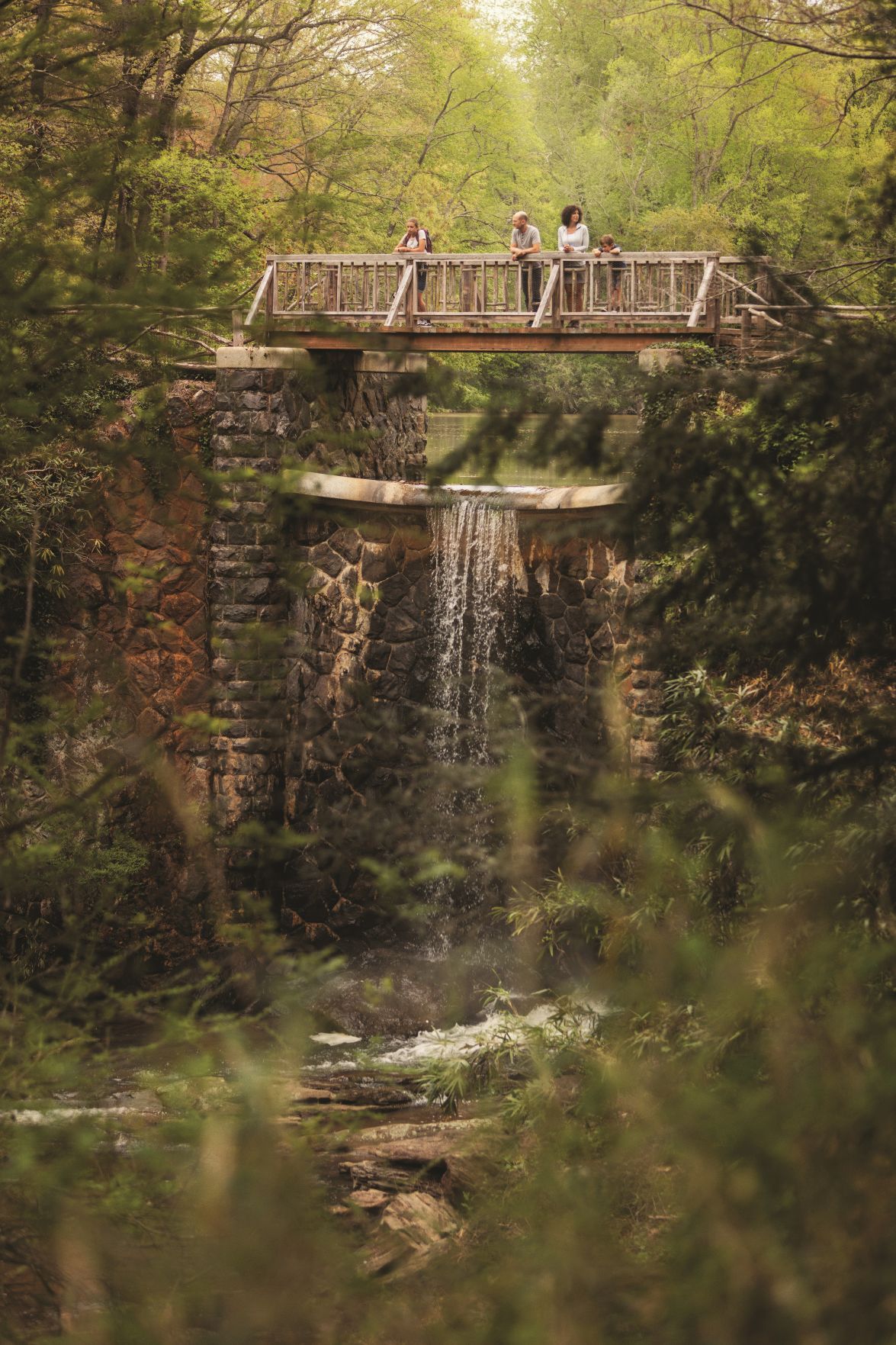Biltmore Begins Phased Reopening | News | biltmorebeacon.com