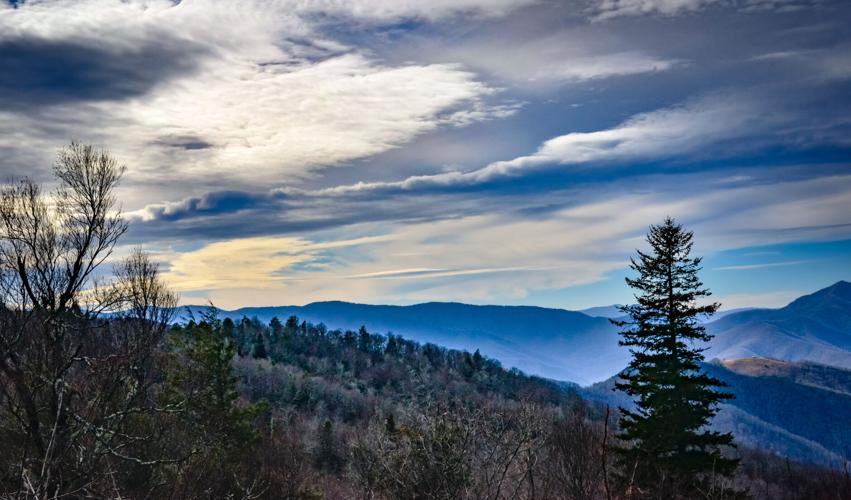 MountainTrue Sessions to Explore Climate Change | News | biltmorebeacon.com