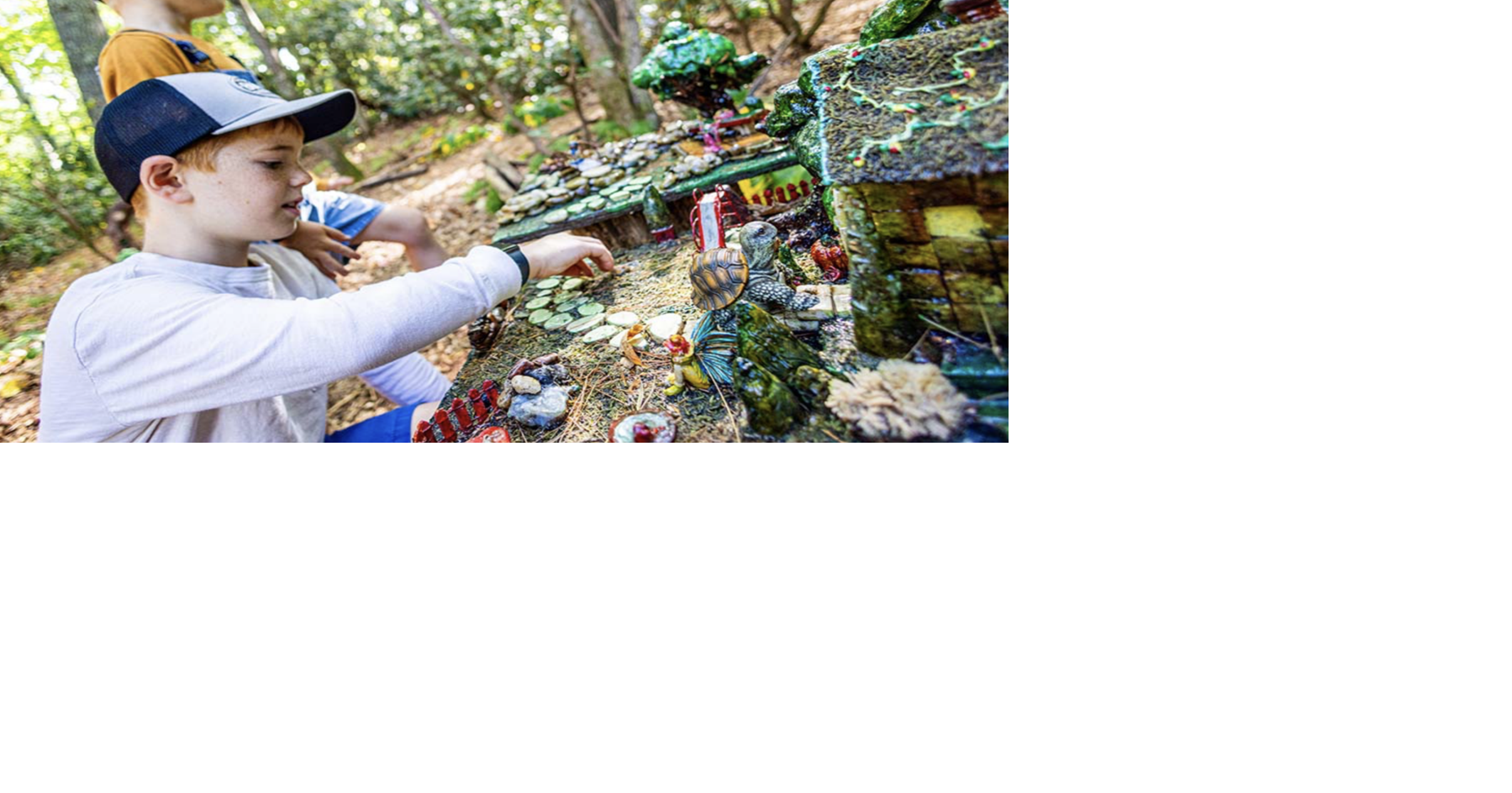 Make summer magical with fairies, gnomes and unicorns at Bullington Gardens | Outdoor ...