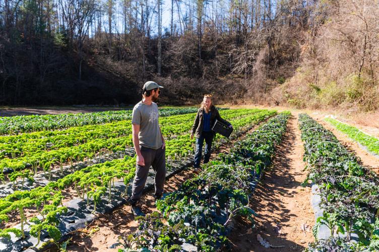 Farmer survey offers snapshot of the local food industry the year after ...