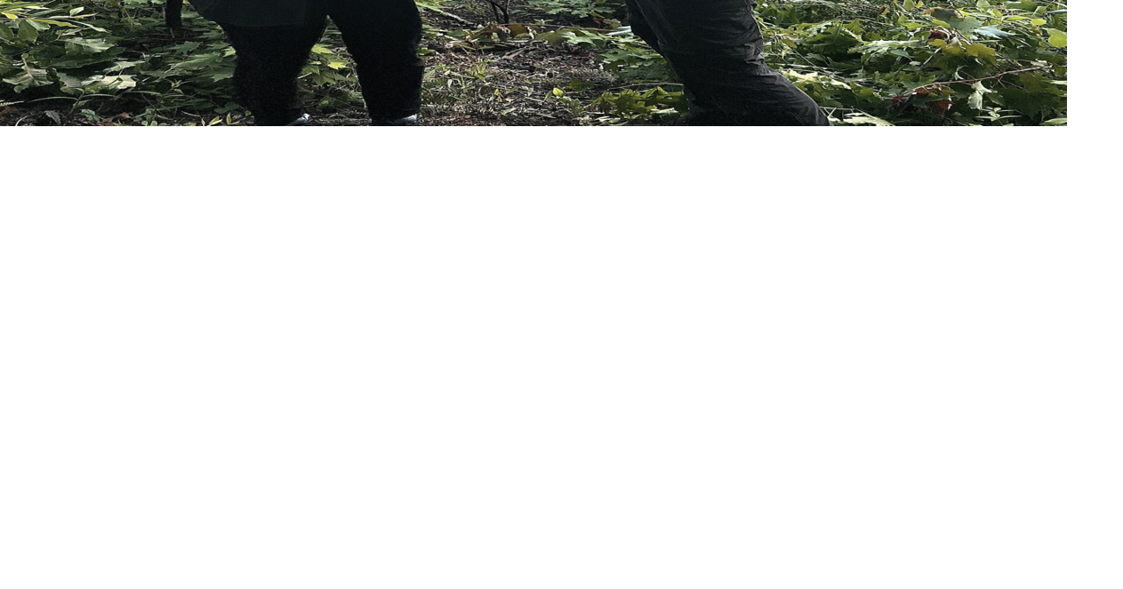 'Preservation Through Art' advocate co-hosts PBS pilot with TV partner ...