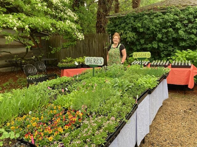 Quality Plants Offered at Annual Garden Club Plant Sale | Culture ...