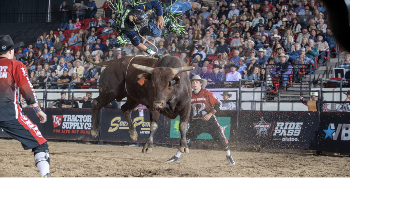 Buck up for professional bull riding in Tryon | Arts | biltmorebeacon.com