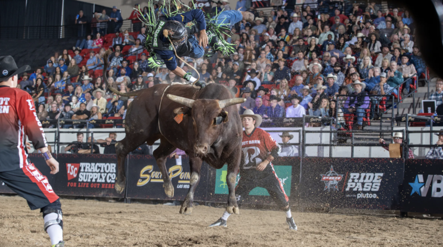 Buck up for professional bull riding in Tryon | Arts | biltmorebeacon.com