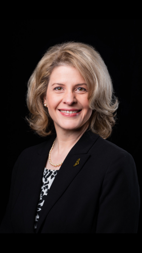 UNC System selects 2023 Faculty Fellows, two are from WNC | News ...