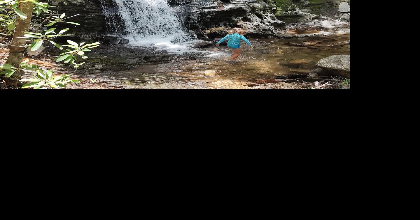 Conservation of Waterfalls Park in Avery County preserves local nature ...
