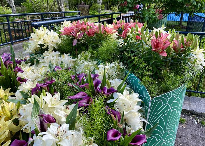 Come Face to Face With Flowers at Arboretum’s ‘Bloom with a View ...