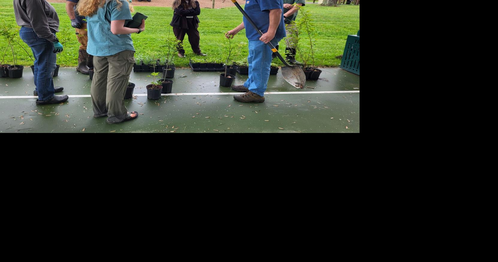 Arbor Day Celebration Highlights Community Commitment to Trees ...