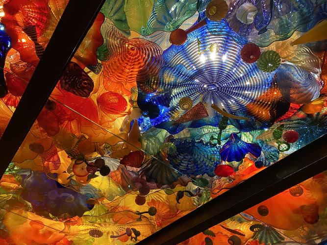 Awe-inspiring works of glass master Dale Chihuly return to Biltmore ...
