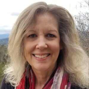 Asheville Watchdog reporter Sally Kestin wins national award | News ...