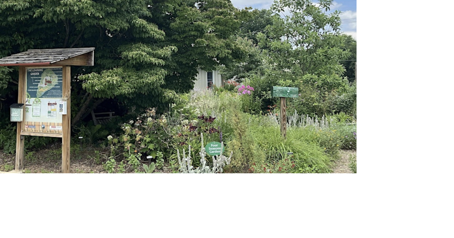 Dig The Learning Garden with a docent led tour | Outdoor ...