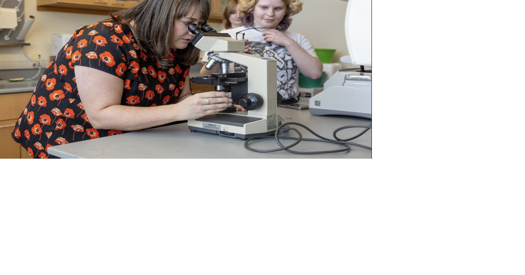 Discovery by UNCA professor could unlock secrets to DNA gene repair ...