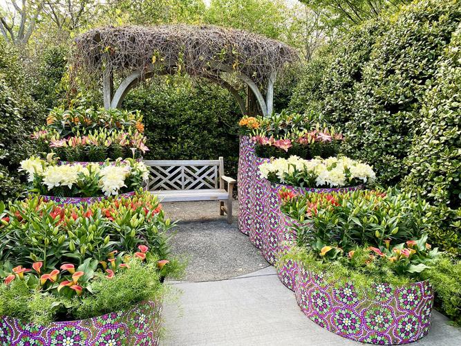 Come Face to Face With Flowers at Arboretum’s ‘Bloom with a View ...