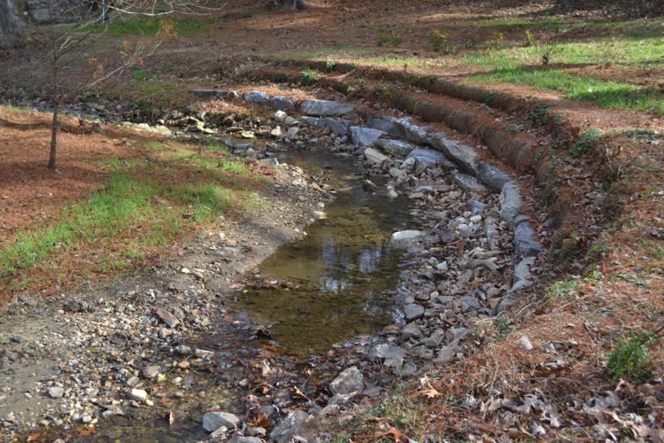 Greenwood Park Stream Restoration Preserves Land, Ecosystems | News ...