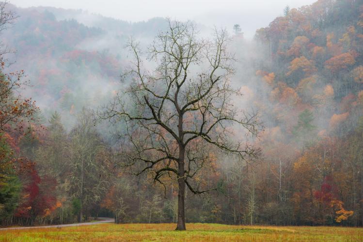 Leap Frog Tours Offers Photography Tours With David Simchock | News ...