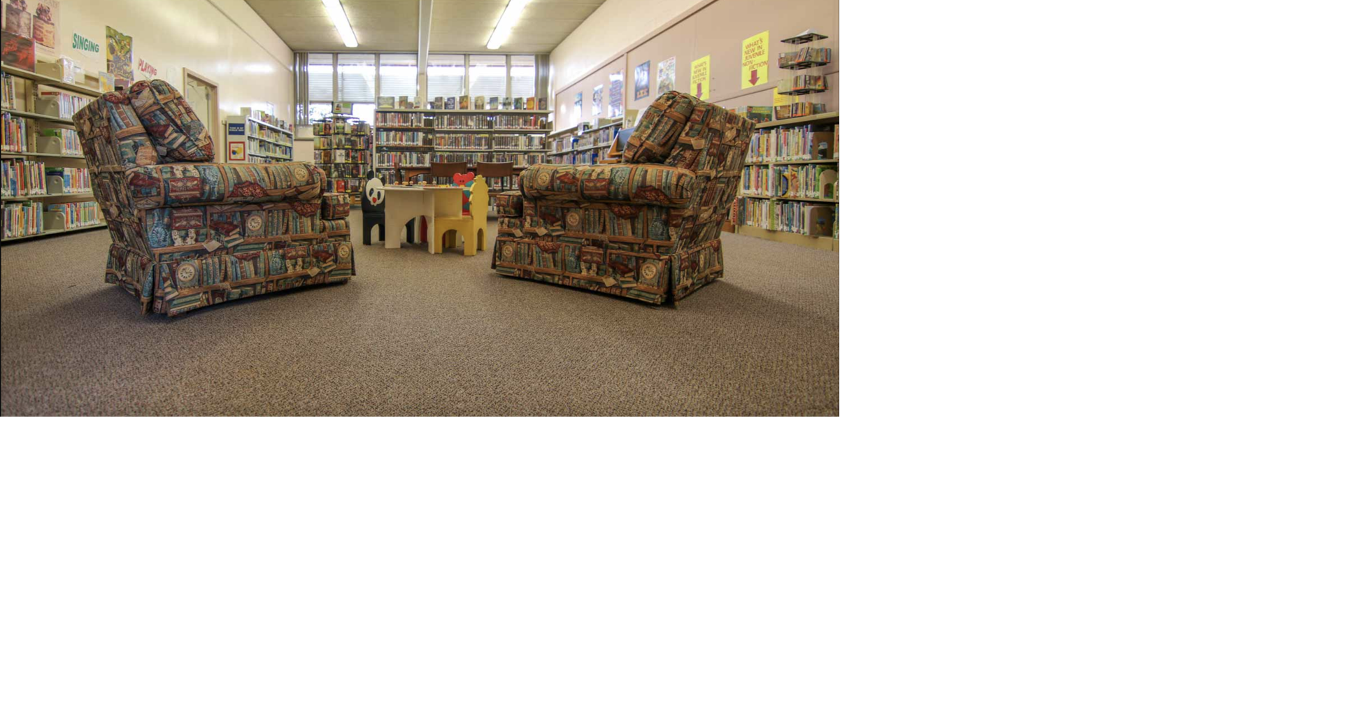 Calling all stuffed animal friends for a library sleepover | Arts ...