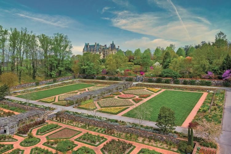 Springtime Blooms Have Arrived at Biltmore | Arts | biltmorebeacon.com