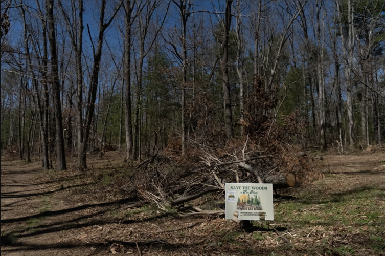 Debate over woods asks, what kind of university does UNCA want to be ...