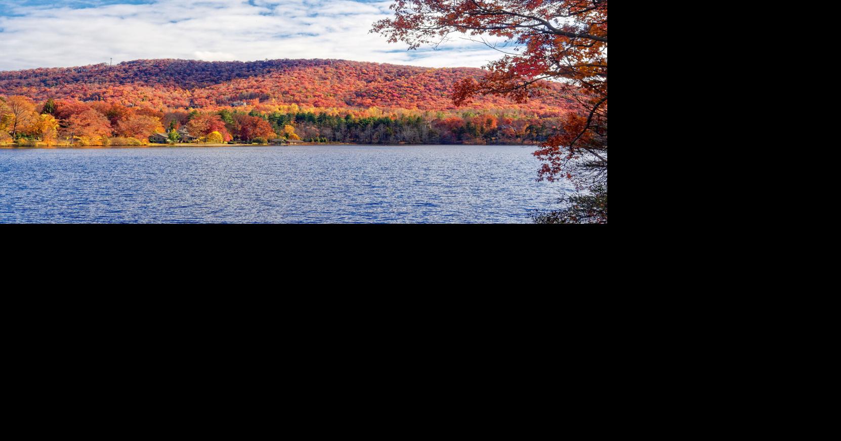 Community, conservation save Scott's Ridge | News | biltmorebeacon.com