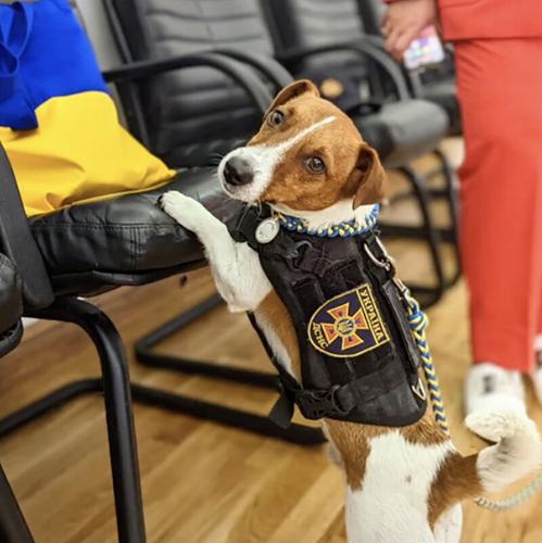 Local resident ventures into Ukraine | News | biltmorebeacon.com