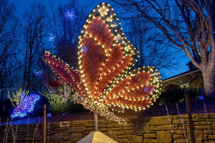 winter lights arboretum