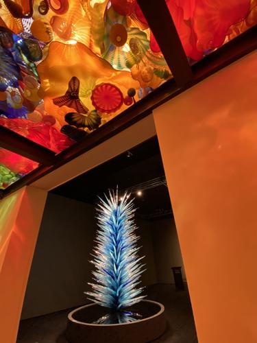 Awe-inspiring works of glass master Dale Chihuly return to Biltmore ...