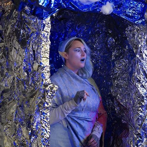 Holiday magic! Take an immersive Winter Wonder Walk into Winterland ...